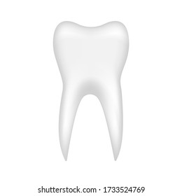 Tooth Isolated On White Background Vector Stock Vector (Royalty Free ...