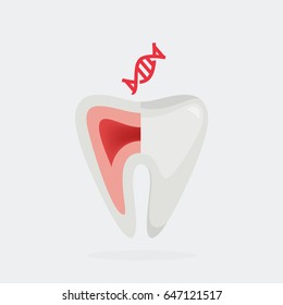 Tooth Vector Illustration Dna Stock Vector (Royalty Free) 647121517