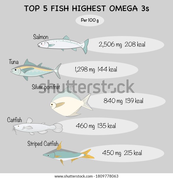 Top 5 Fish Highest Omega 3 库存矢量图（免版税）1809778063