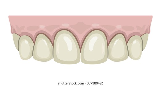 Top Row White Teeth Stock Vector (Royalty Free) 389380426