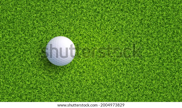 Top View Golf Ball On Green Stock Vector (Royalty Free) 2004973829 ...