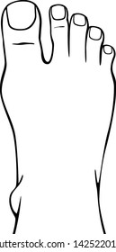 Top View Human Foot Stock Vector (Royalty Free) 1425220154 | Shutterstock
