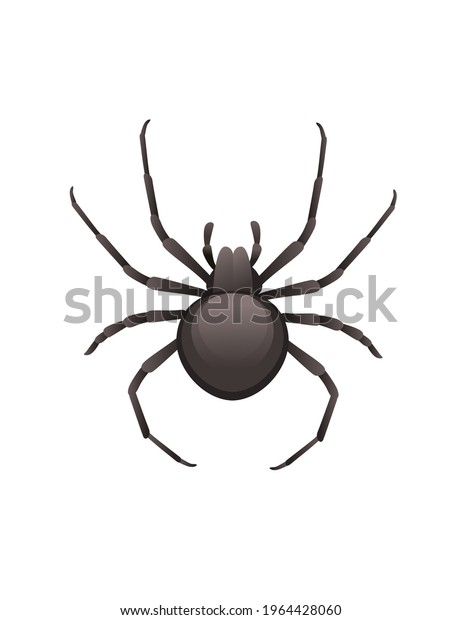 Top View Illustration On Spider Cartoon Stock Vector (Royalty Free ...