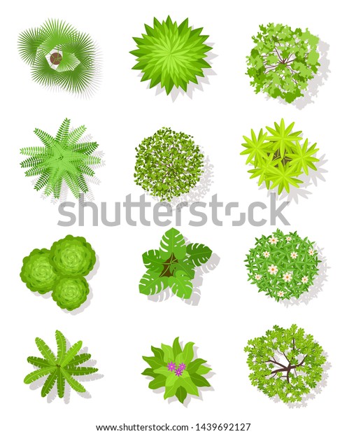 Top view tree. Green trees with leaves and bushes for landscape ...