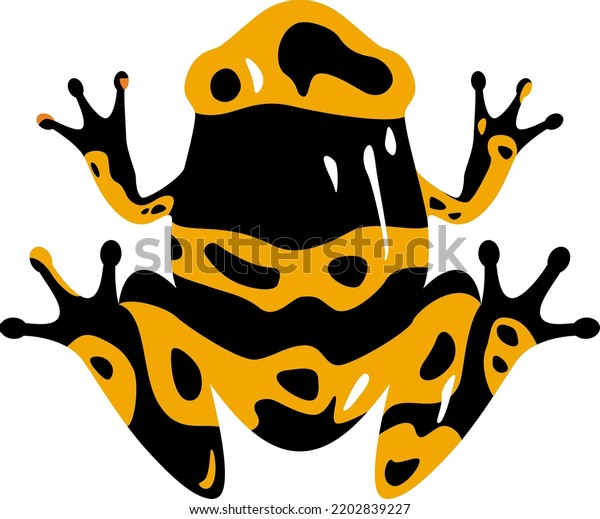 Top View Yellow Arrow Frog Stock Vector (Royalty Free) 2202839227 ...
