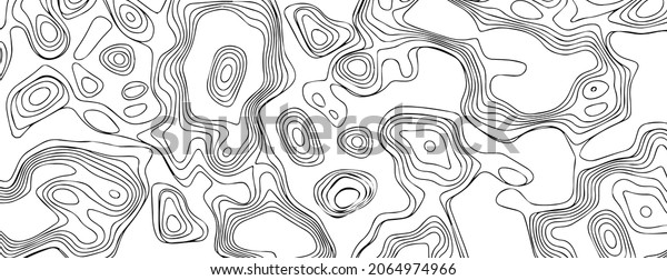 Topographic Map Area White Phot Black Stock Vector (Royalty Free ...