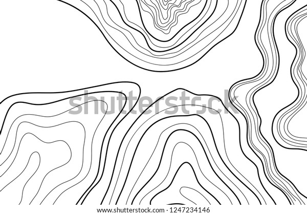 Topographic Map Black Lines On White Stock Vector (Royalty Free ...