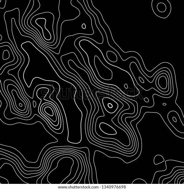 Topographic Map Black Lines On White: เวกเตอร์สต็อก (ปลอดค่าลิขสิทธิ์ ...