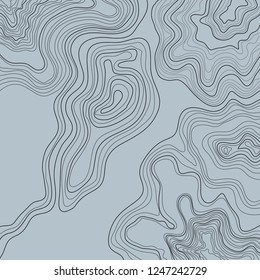 Topographic Map Gray Background Vector Stock Vector (Royalty Free ...