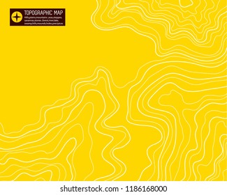 Topographic Map White Abstract Lines On: vector de stock (libre de ...