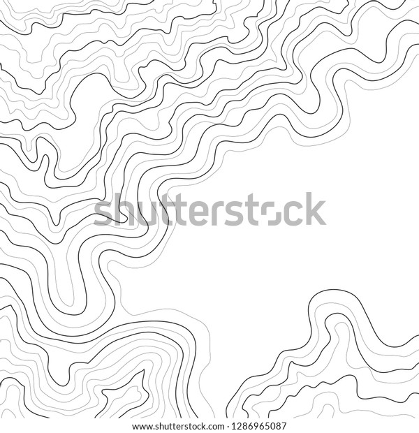 Topographic Maps Vector Illustration White Background Stock Vector ...