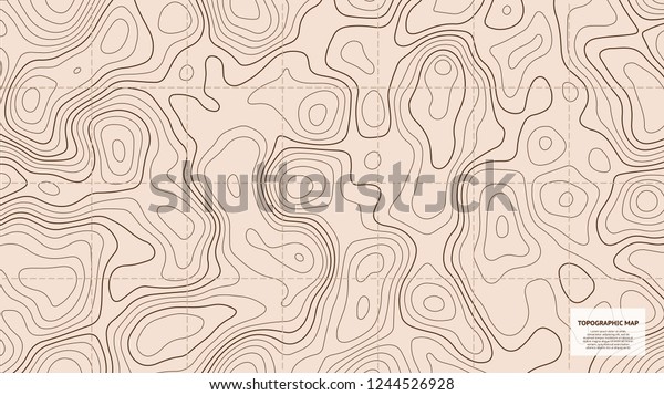 Topographic World Map Geographic Contour Grid Stock Vector (Royalty ...
