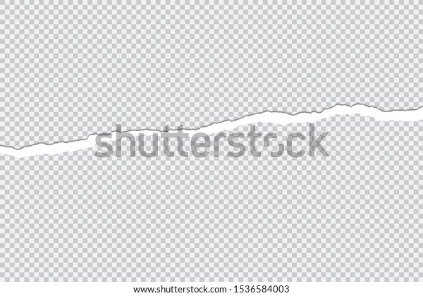 Torn Paper Edge Isolated On Transparent Stock Vector (Royalty Free ...