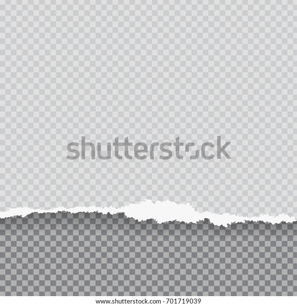 Torn Paper Ripped Edge Flyer Poster: เวกเตอร์สต็อก (ปลอดค่าลิขสิทธิ์ ...