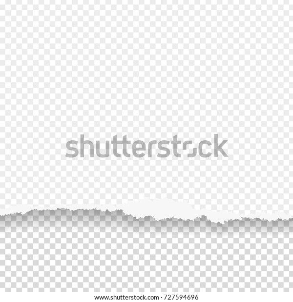 Vektor Stok Torn Paper Ripped Edge Flyer Poster (Tanpa Royalti ...