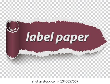 Torn Paper Ripped Label On Transparent Stock Vector (Royalty Free ...