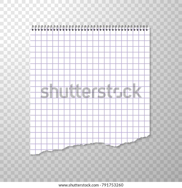 Torn Piece Squared Paper Spiral Bound Stock Vector (Royalty Free ...