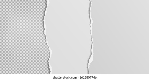 Torn Ripped Pieces Vertical White Paper Stock Vector (Royalty Free ...