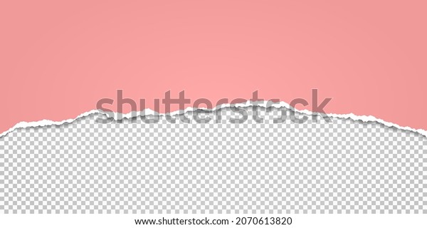 Torn Ripped Pink Paper Strip Soft Stock Vector (Royalty Free ...