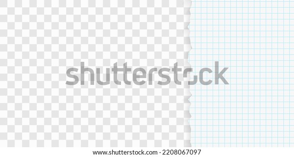 Torn Squared Paper Edge Vector Illustration Stock Vector (Royalty Free ...
