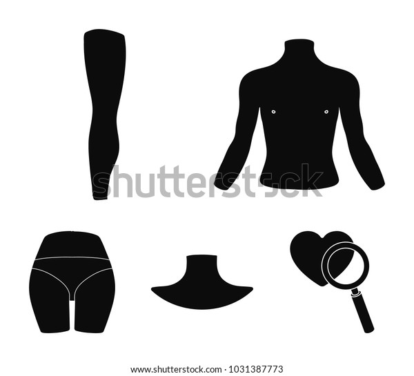 Torso Leg Neck Buttocks Body Parts Stock Vector (Royalty Free ...