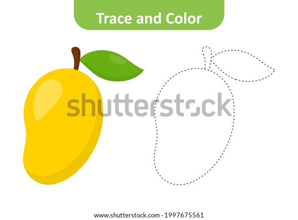 Trace Color Kids Mango Vector Stock Vector (Royalty Free) 1997675561 ...
