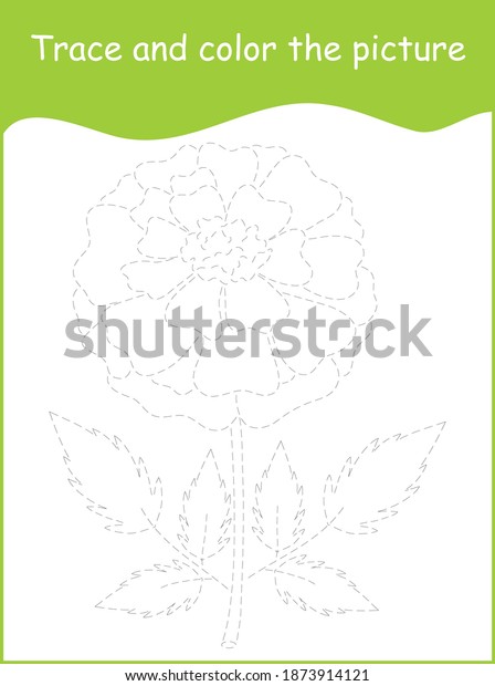 Trace Color Marigold Flower Tracing Flower Stock Vector (Royalty Free ...