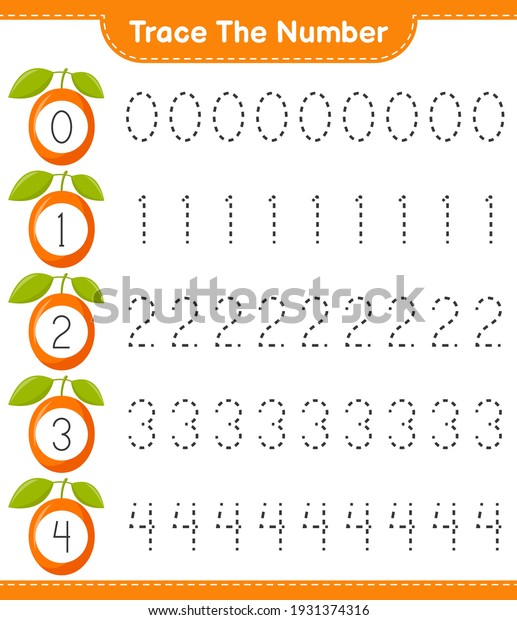 Trace Number Tracing Number Ximenia Educational Stock Vector (Royalty ...