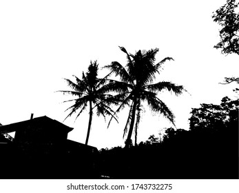Trace Picture Two Coconut Tree Black Stock Vector (Royalty Free) 1743732275