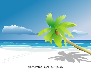 Palm Tree On Beach Bitmap Copy Stock Illustration 128764898