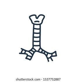 Trachea Icon Isolated Bronchi Trachea Icon Stock Vector (Royalty Free ...
