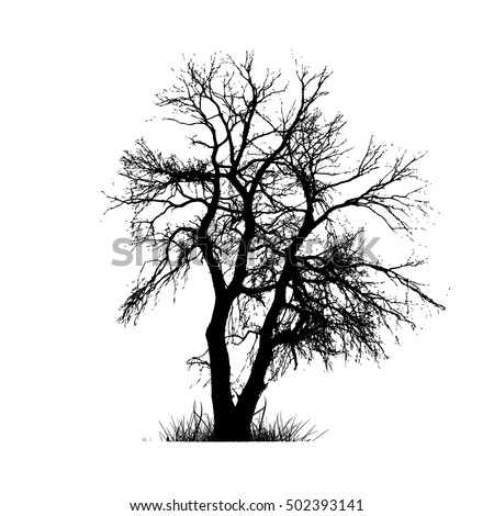 Tracing Trees Vector Stock Vector (Royalty Free) 502393141 - Shutterstock