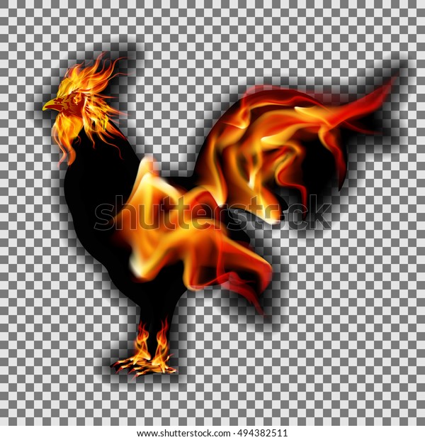 Traditional Fire Rooster Flame On Head Stock Vector (Royalty Free ...