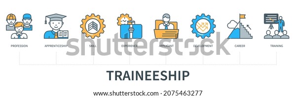 Traineeship Concept Icons Profession Apprenticeship Experience Stock ...