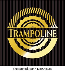 Trampoline Golden Emblem Stock Vector (Royalty Free) 1360943156 ...