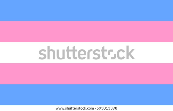 Transgender Flag Trans Banner Blue Pink Stock Vector (Royalty Free ...