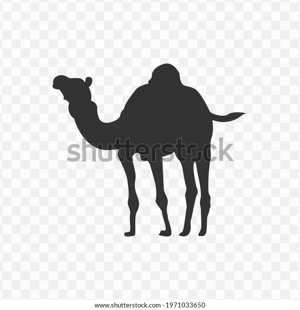 Transparent camel icon png, vector illustration of an camel icon in ...