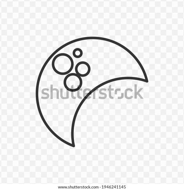 Transparent Moon Icon Png Vector Illustration Stock Vector (Royalty ...