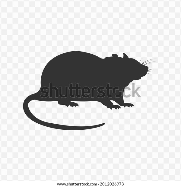 Transparent Rat Icon Png Vector Illustration Stock Vector (Royalty Free ...