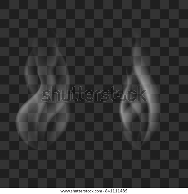 Transparent Realistic Vector Grey Smoke On Stock Vector (Royalty Free ...