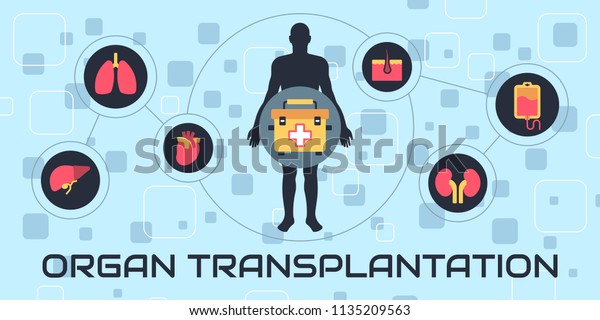 Transplantation Most Common Transplanted Human Organs Stock Vector ...
