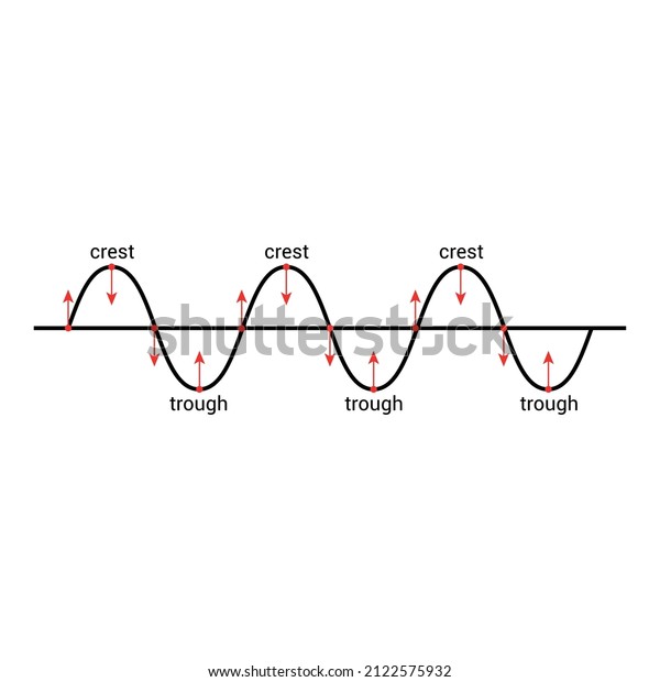 Transverse Wave Diagram Crest Trough: เวกเตอร์สต็อก (ปลอดค่าลิขสิทธิ์ ...