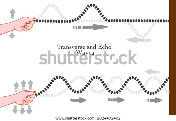 Transverse Waves Echo Diagram Spring Stretched Stock Vector (Royalty ...