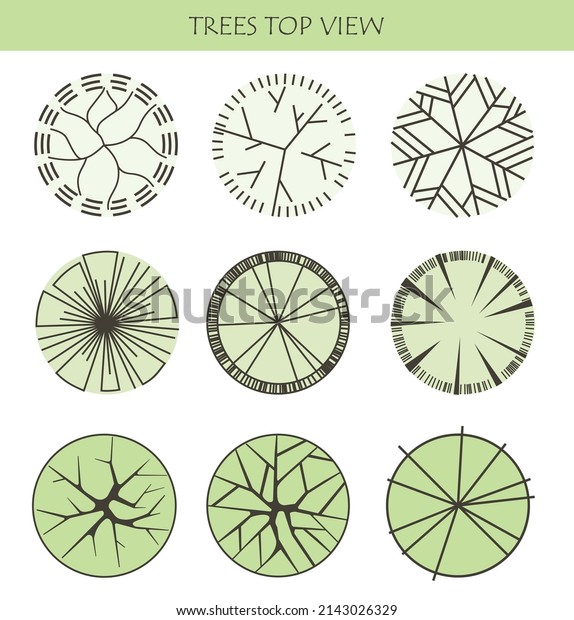 Tree Architectural Floor Plans Entourage Design: เวกเตอร์สต็อก (ปลอดค่า ...