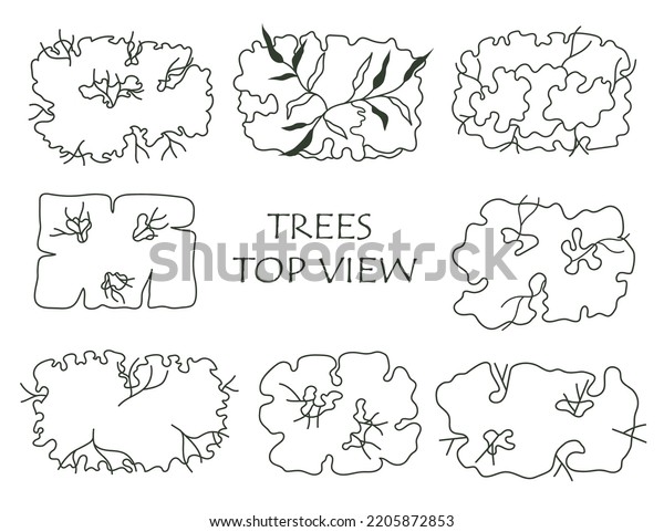 Tree Architectural Floor Plans Entourage Design Stock Vector (Royalty ...