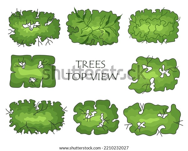 Tree Architectural Floor Plans Entourage Design Stock Vector (Royalty ...