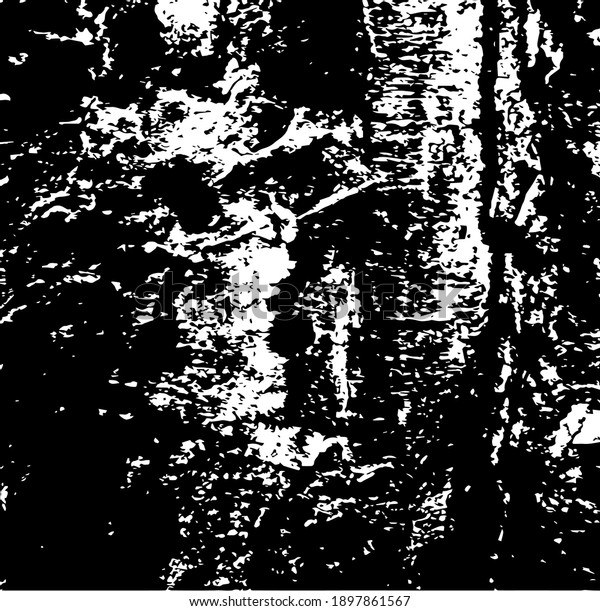 Tree Bark Cracked Tree Core Design Stock Vector (Royalty Free ...
