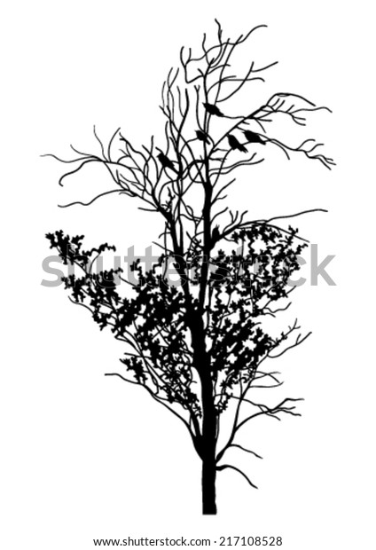 Tree Birds Silhouette Stock Vector (Royalty Free) 217108528 | Shutterstock