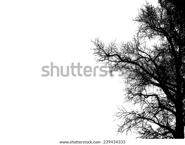 Tree Branch On White Background Vector Stock Vector (Royalty Free ...