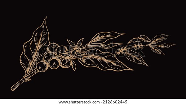 22,488 Coffee Cherry Vector Images, Stock Photos & Vectors | Shutterstock
